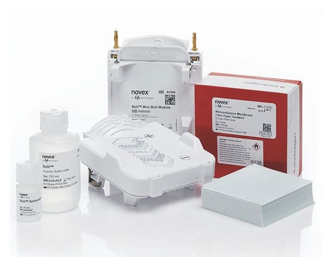 Thermo Scientific, Invitrogen and Gibco Starter Kits, Package Deals and ...